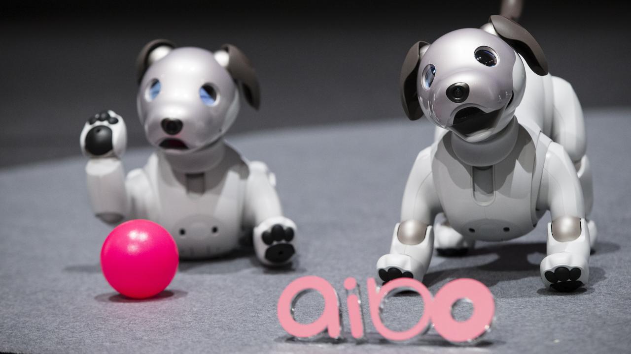 Sony unveils updated AIBO robot dog | TheStarTV.com
