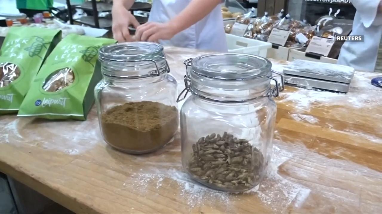 Bread made from crushed crickets launches in Finland | TheStarTV.com