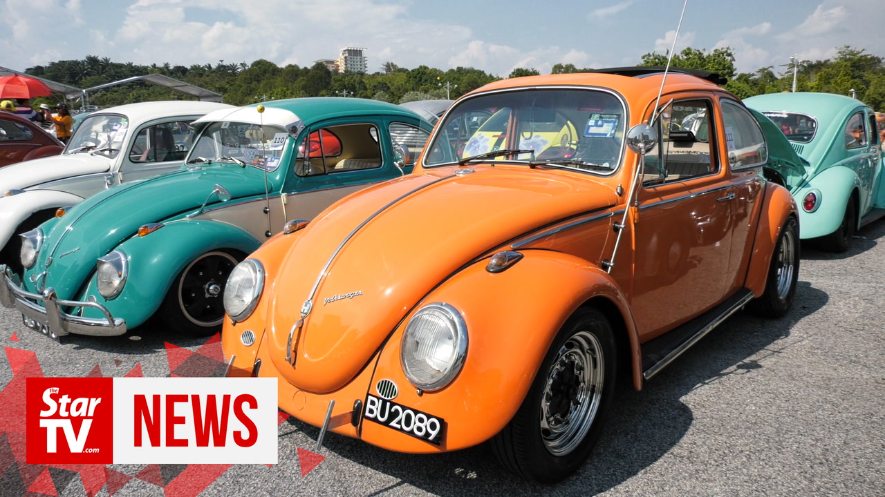 Beetle owners celebrate world’s favourite Bug | TheStarTV.com