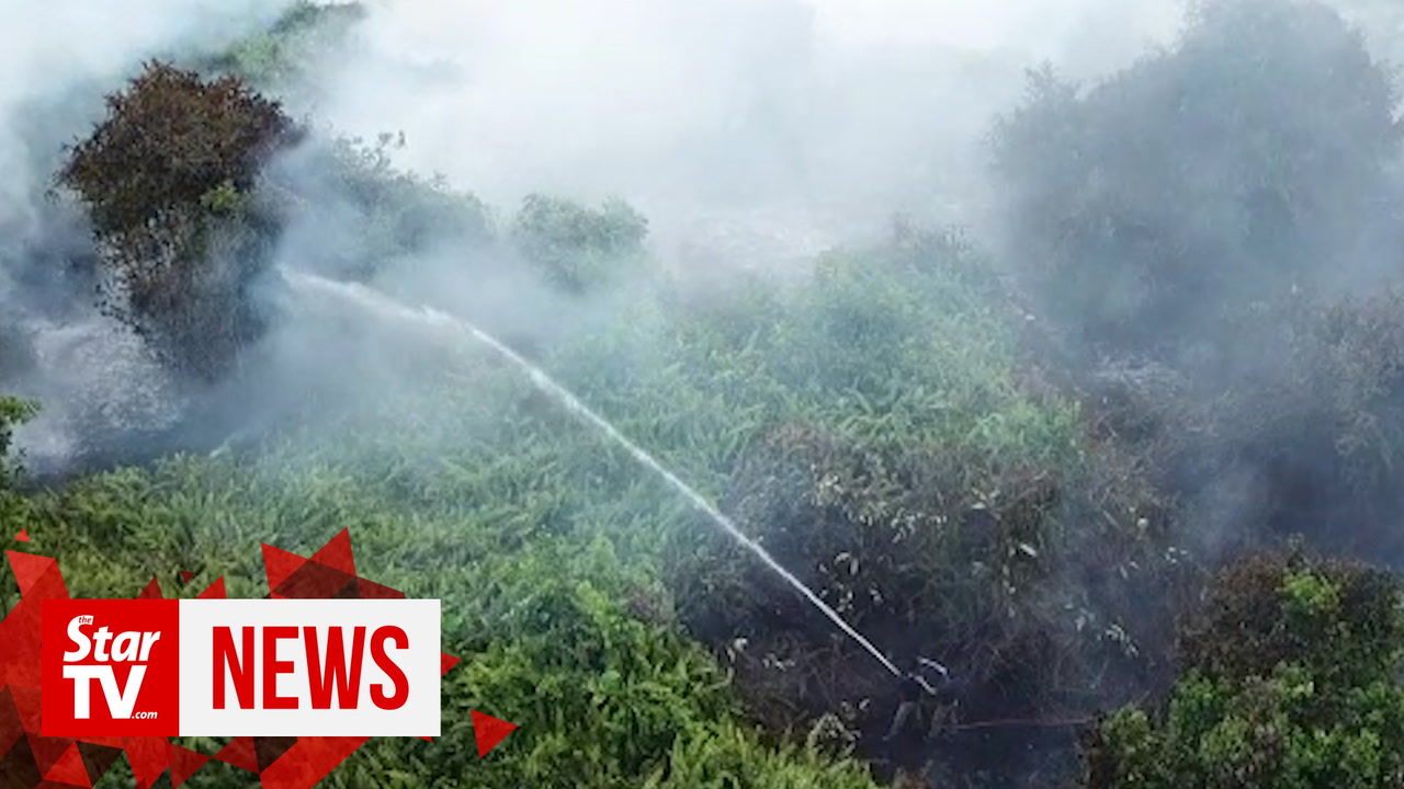 Firefighters battling forest fires in Sarawak, haze worsens | TheStarTV.com