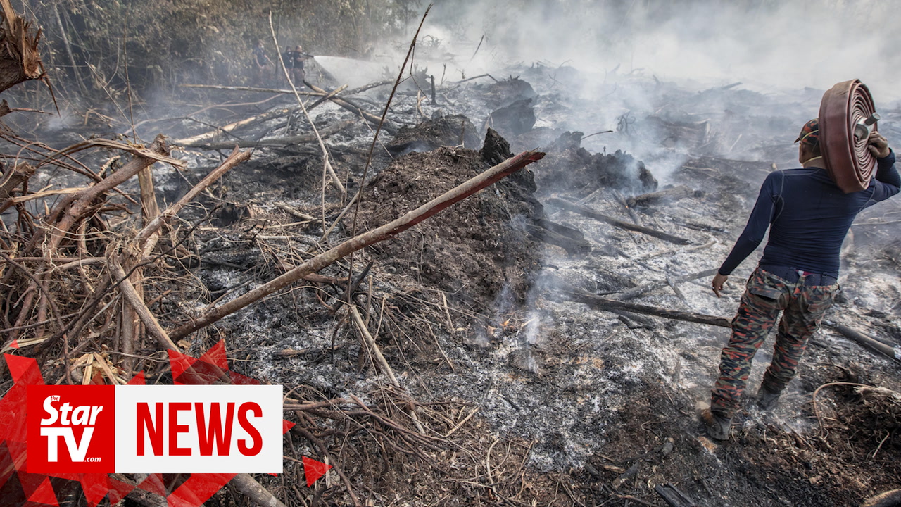 Sarawak firefighters battling peat and forest fires across state ...