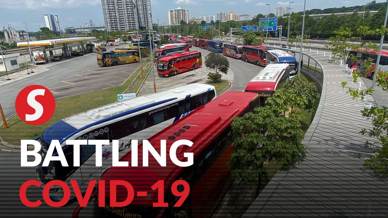 Health DG: Protocols in place for express buses | TheStarTV.com