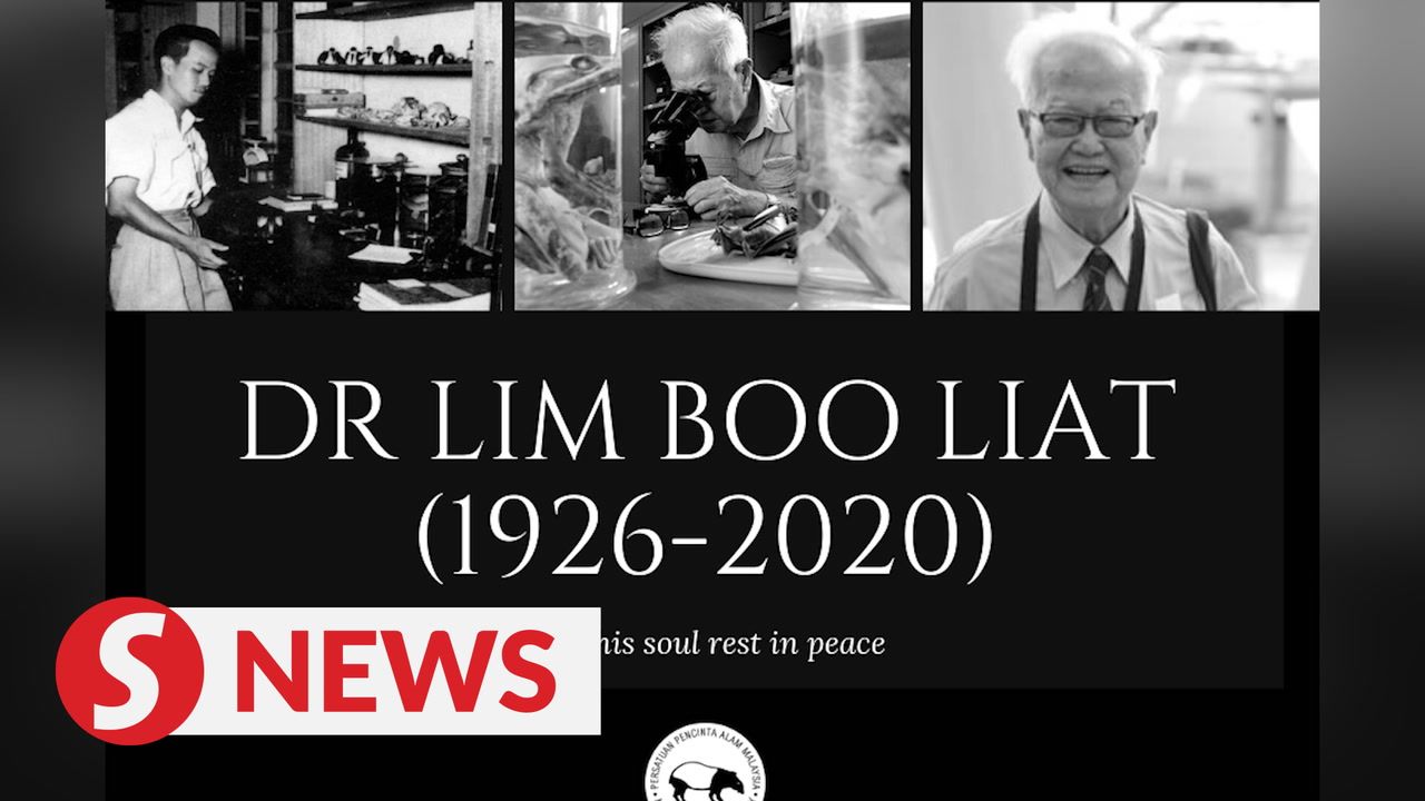 Malaysian zoology pioneer Dr Lim Boo Liat dies at 94 | TheStarTV.com