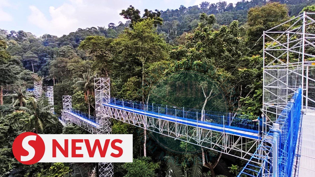 Epic Forest Skywalk offers visitors stunning views of Kuala Lumpur ...