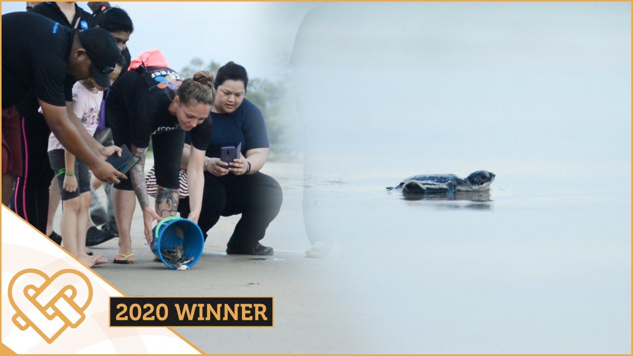 Fuze Ecoteer: Connecting people with nature through voluntourism ...