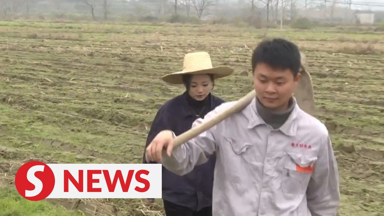 China's couple devote their life to farming | TheStarTV.com
