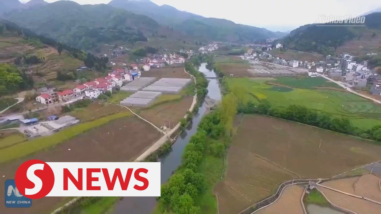 Fishing ban on China's Chishui River helps defend biodiversity ...