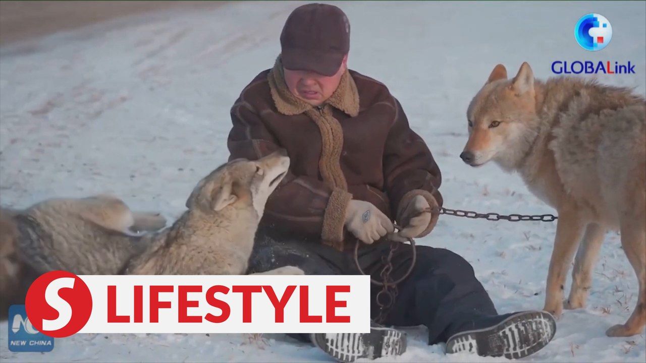 ‘Wolf Island’ of China | TheStarTV.com