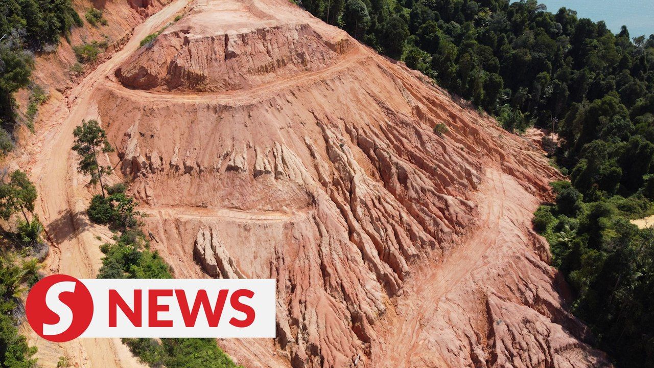 Drone footage shows disappearing vegetation at Segari Melintang Forest ...