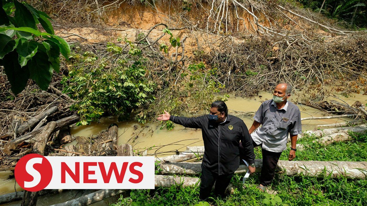 Illegal mining project polluted river water, say Hulu Kinta farmers ...