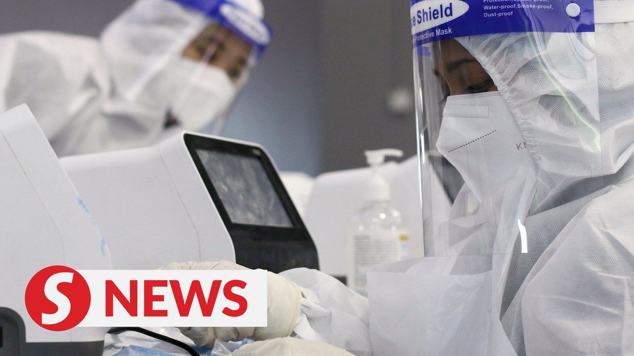 RTK-Antigen and RT-PCR tests effective in detecting Omicron variant ...