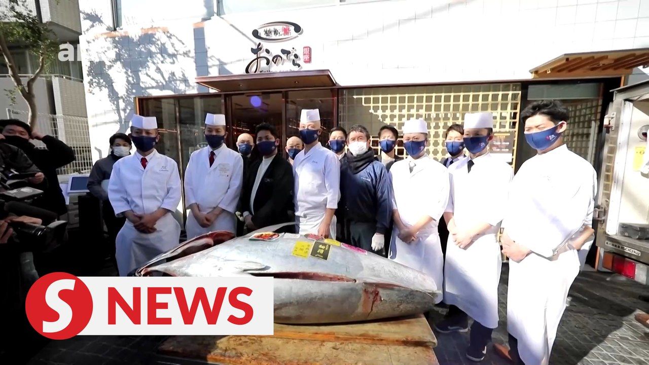 Giant tuna sold for nearly US$150,000 in Japan, but price lowest in ...