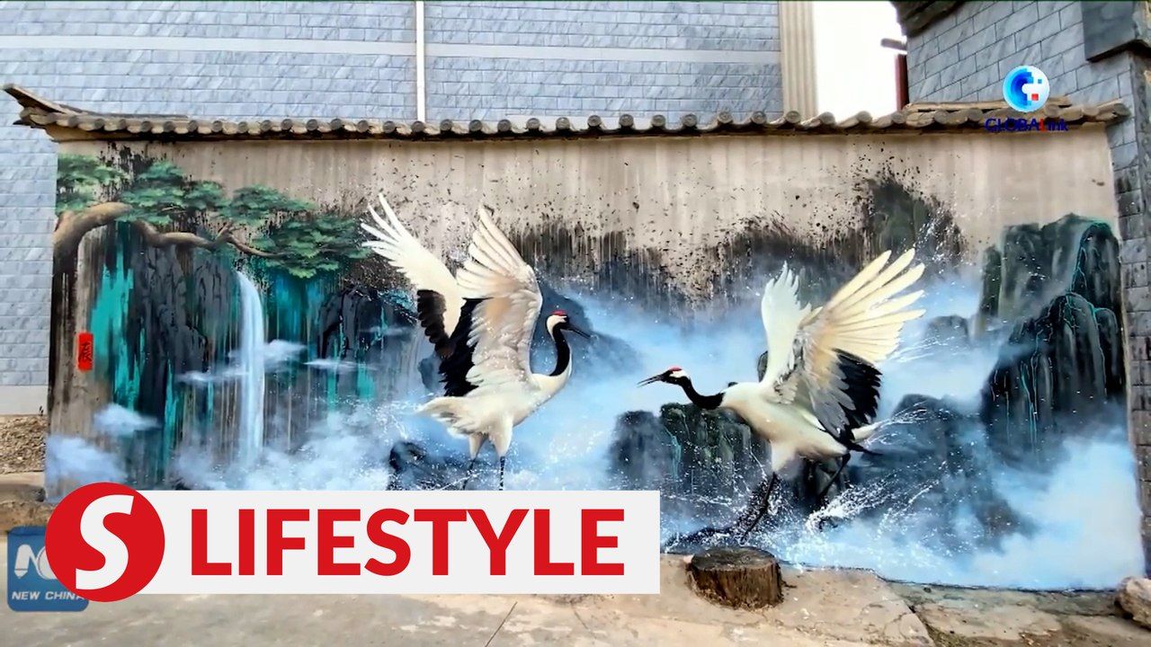 Chinese muralists decorate countryside with creativity, passion ...