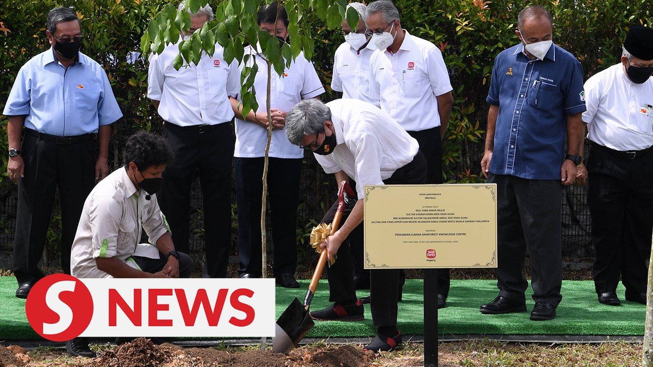 Selangor royal plant trees to commemorate launch of Elmina Rainforest ...