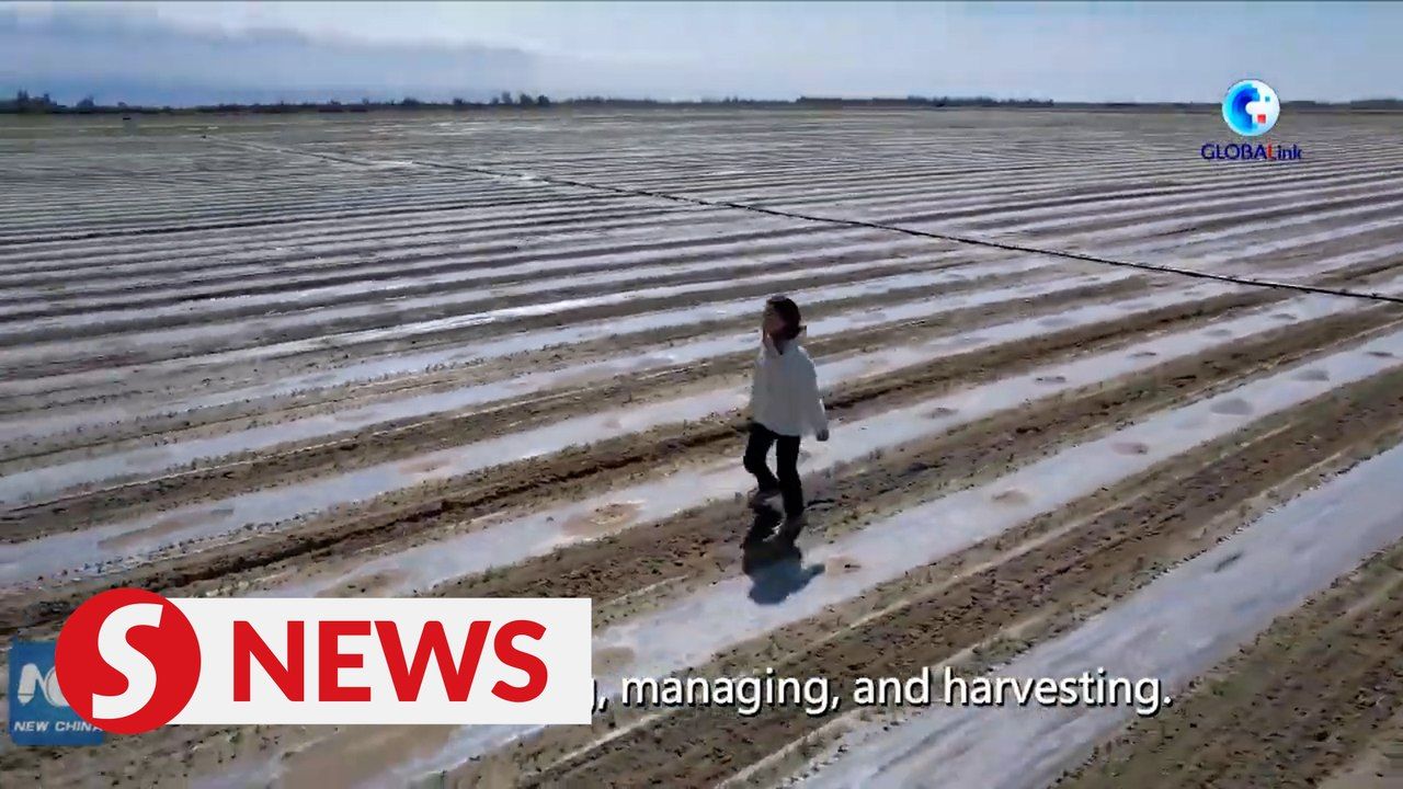 Woman shows how she manages vast cotton fields in Xinjiang | TheStarTV.com