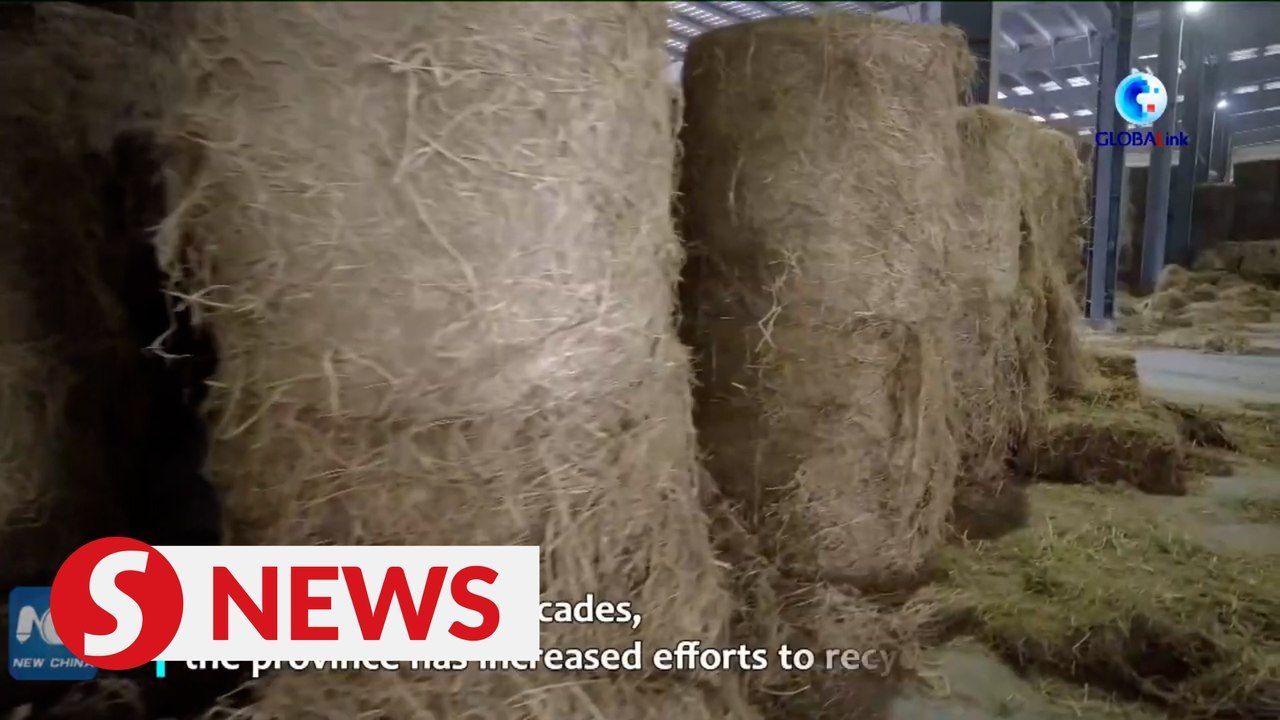 Straw recycling facilitates green agriculture in China | TheStarTV.com