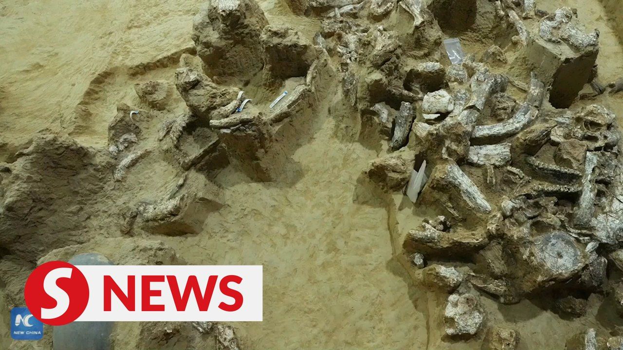 New fossilised skull of Yunxian Man found in central China | TheStarTV.com
