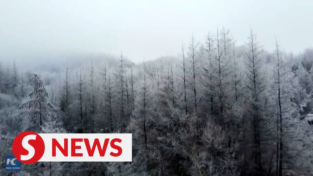 Snow falls in Qinling Mountains | TheStarTV.com