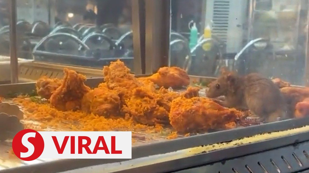 Restaurant shut for 14 days after rat video goes viral | TheStarTV.com