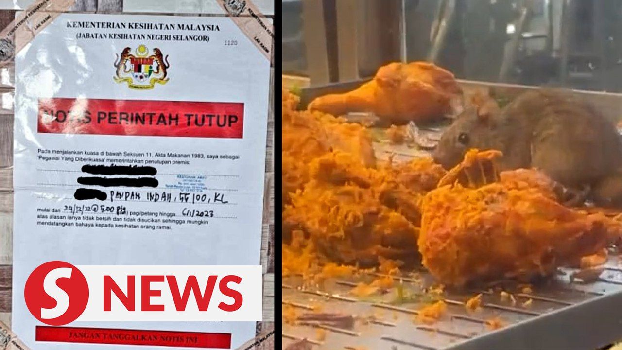 Licence of restaurant in rat-and-fried-chicken viral video revoked ...