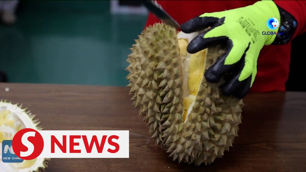 Philippine durian growers eye better yield as durian exports to China ...