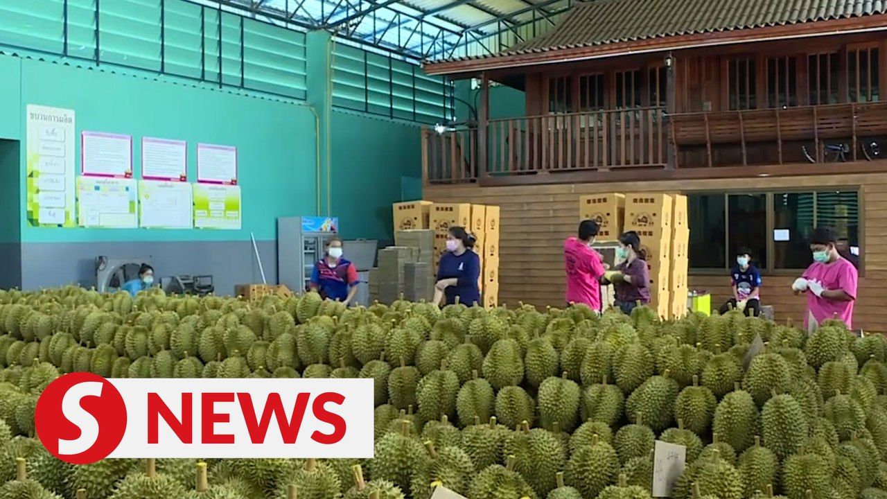 Thailand's durian export to China facilitated by China-Laos Railway ...