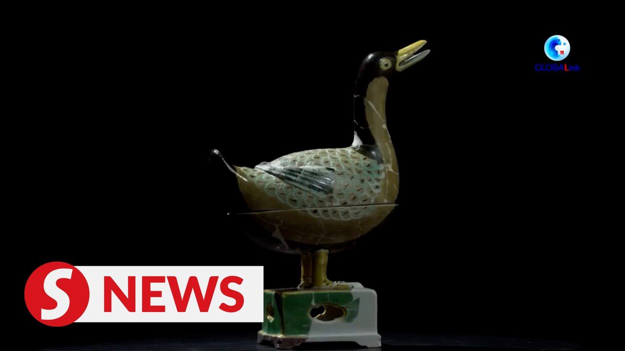500-year-old "Duck" embraces the spotlight | TheStarTV.com