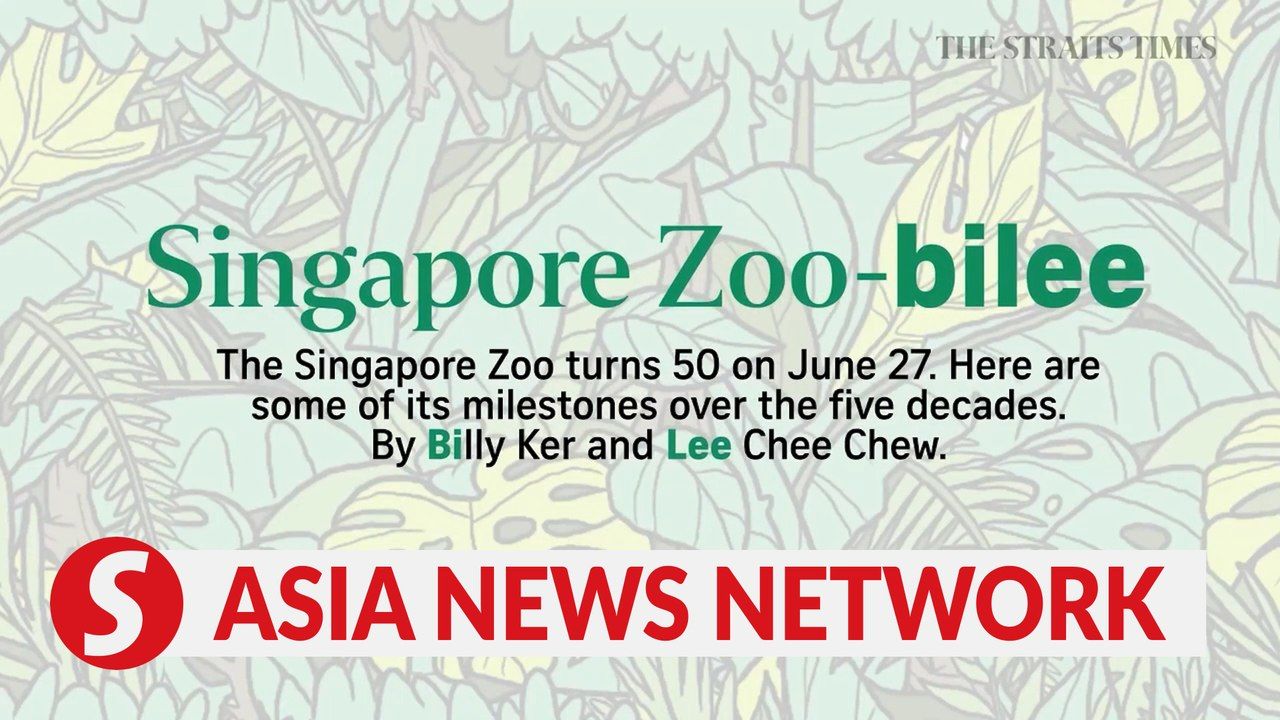 The Straits Times | Zoo-bilee: The Singapore Zoo turns 50 | TheStarTV.com