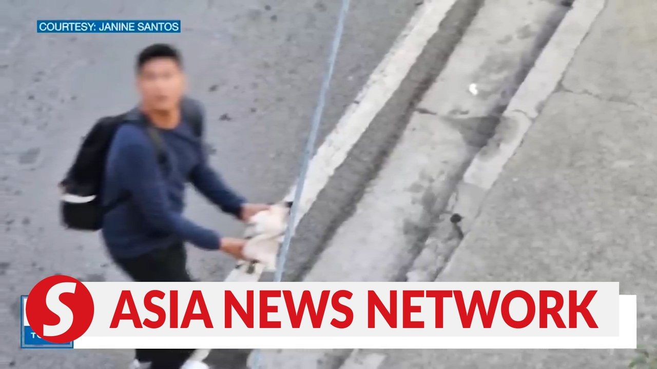 Philippine mall cop fired for tossing puppy off 5m high footbridge ...
