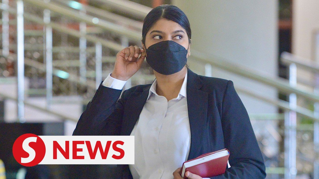 Inspector Sheila charged with causing public nuisance | TheStarTV.com