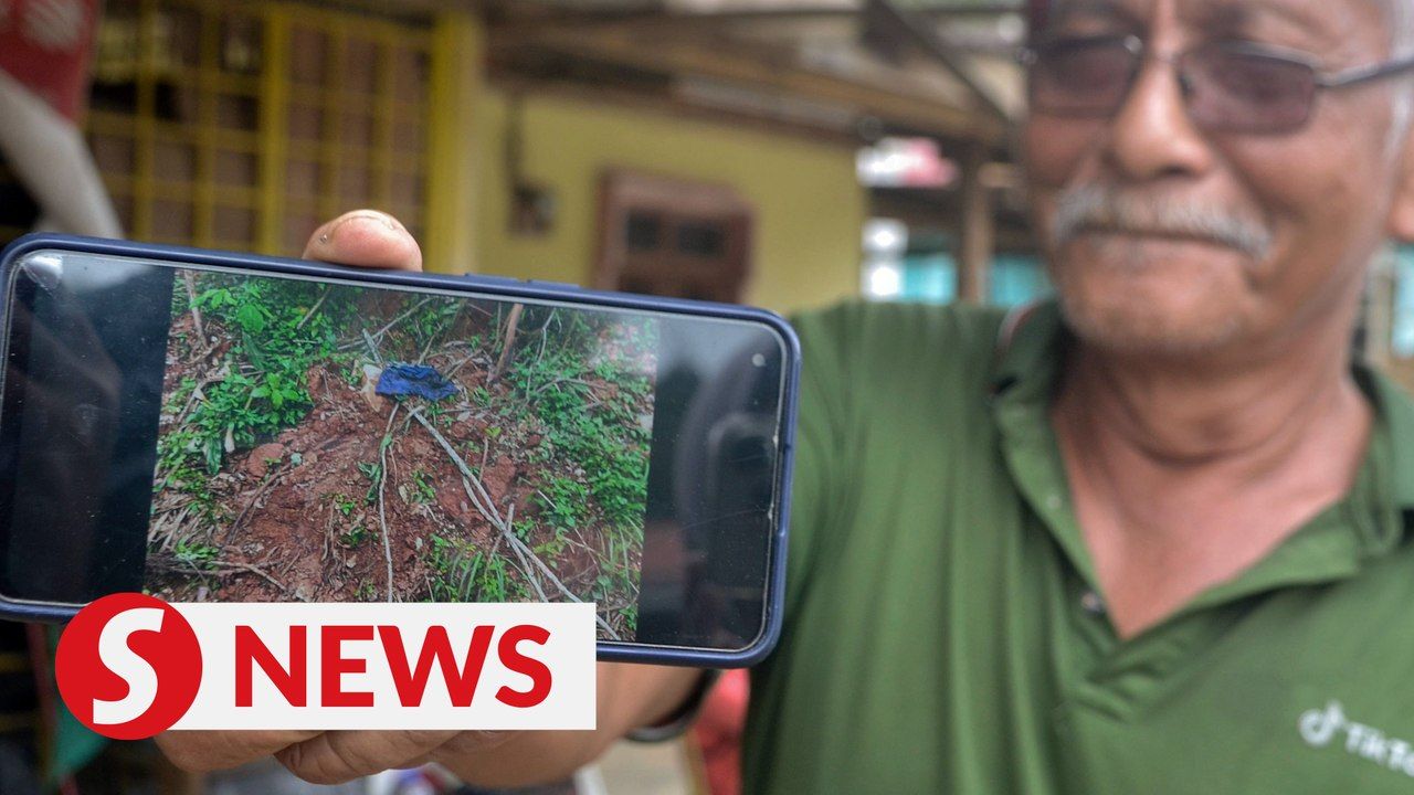 Perhilitan confirms Indonesian worker killed by tiger | TheStarTV.com