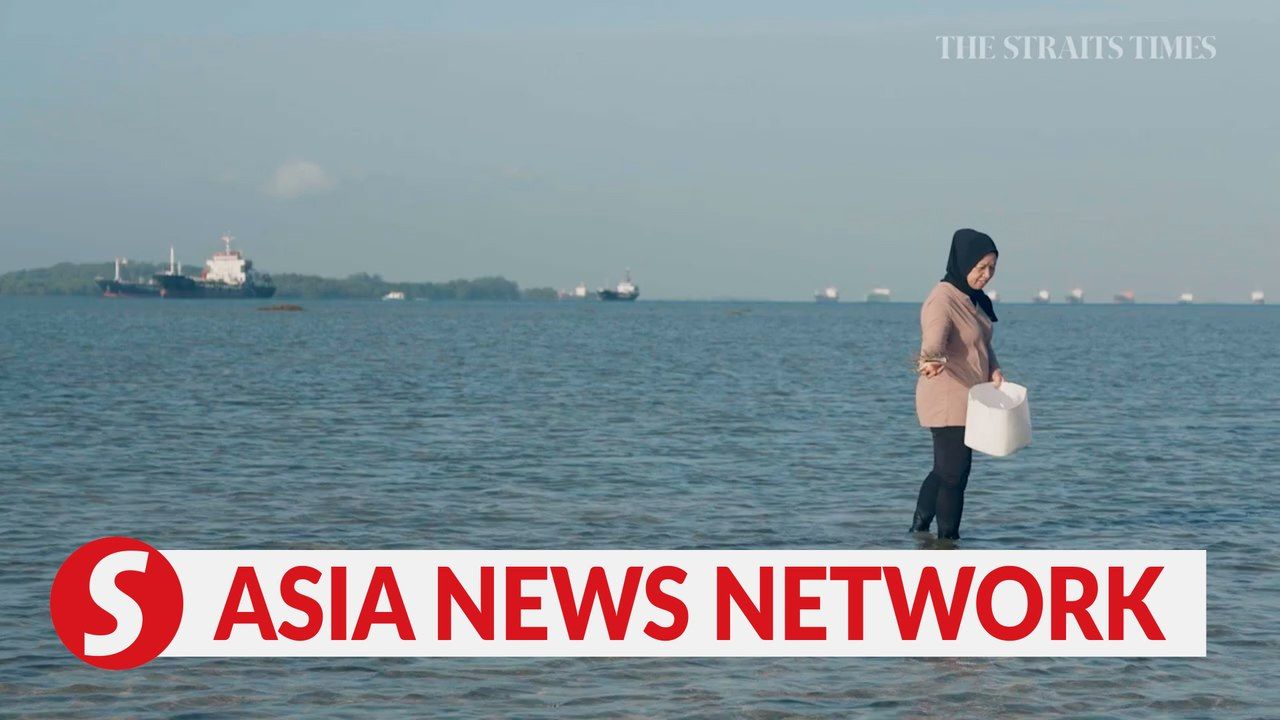 The Straits Times | Foraging in Singapore’s seas: Keeping the Orang ...