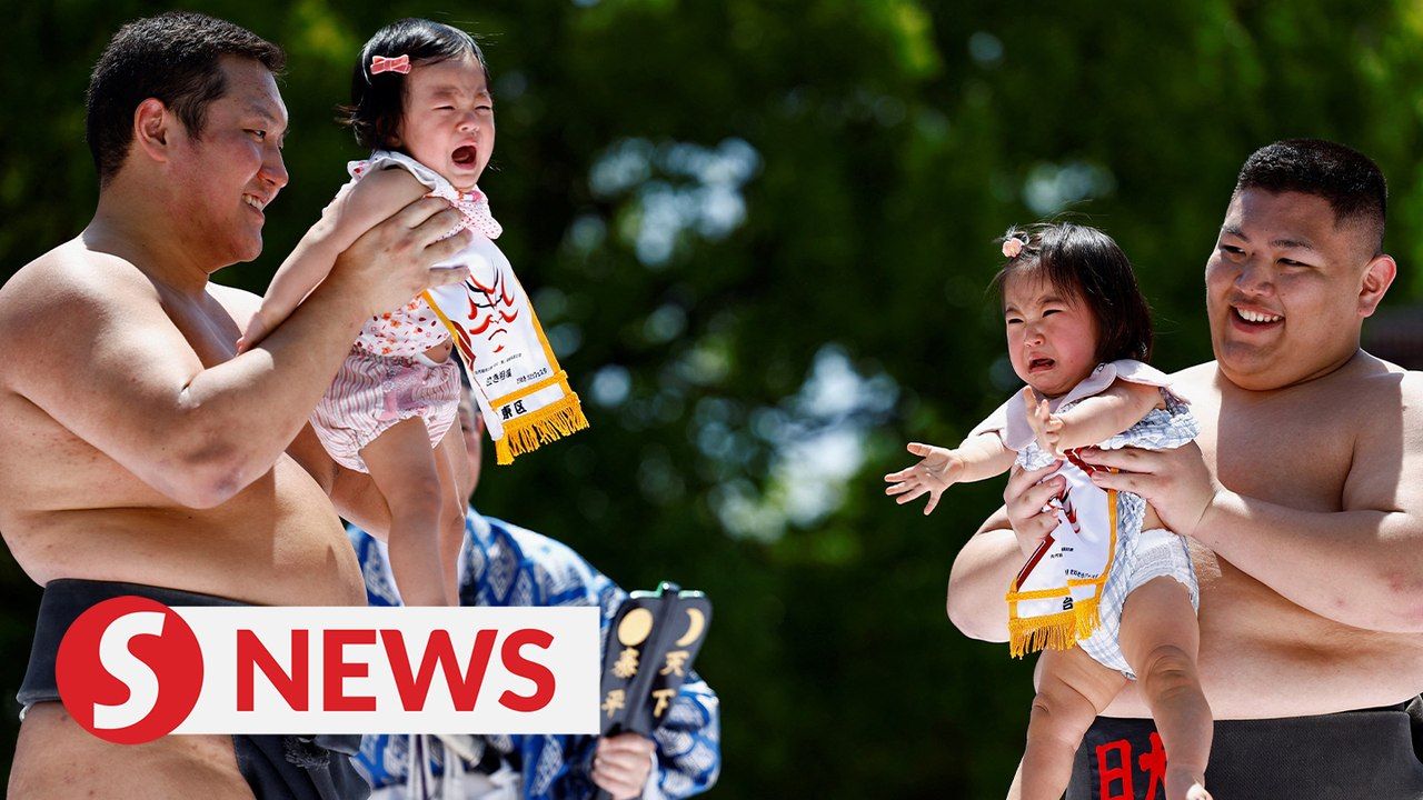 100 crying babies face off at annual sumo festival | TheStarTV.com