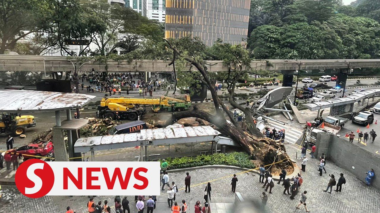 Traffic on Jalan Sultan Ismail diverted as fallen tree being cleared ...
