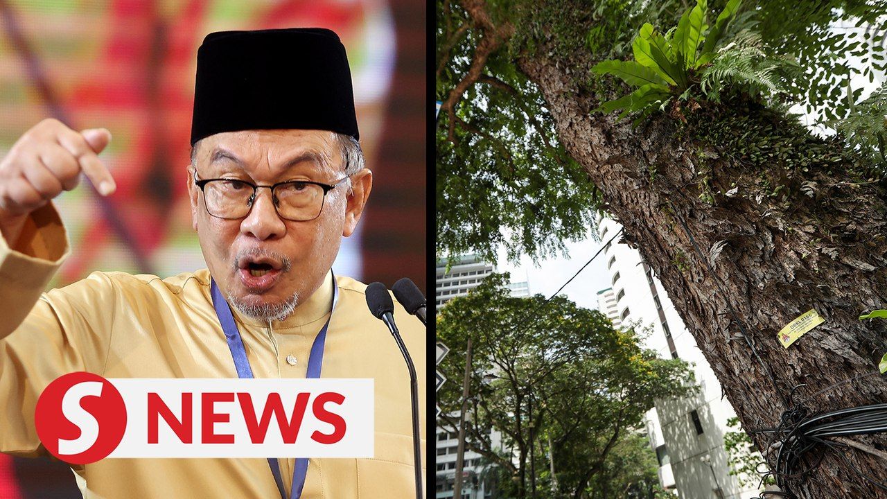 Hundred trees to be planted for every one cut in KL, says PM ...
