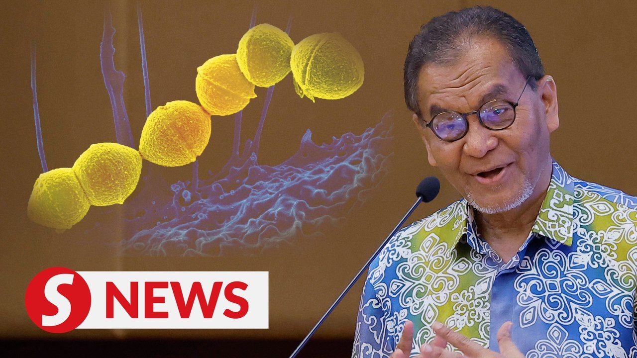 M'sia to seek WHO input on Japan 'flesh-eating' bacteria outbreak, says ...
