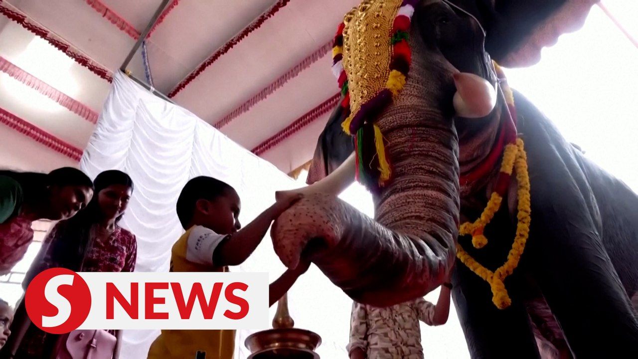 Indian temple uses lifelike robotic elephant for rituals | TheStarTV.com