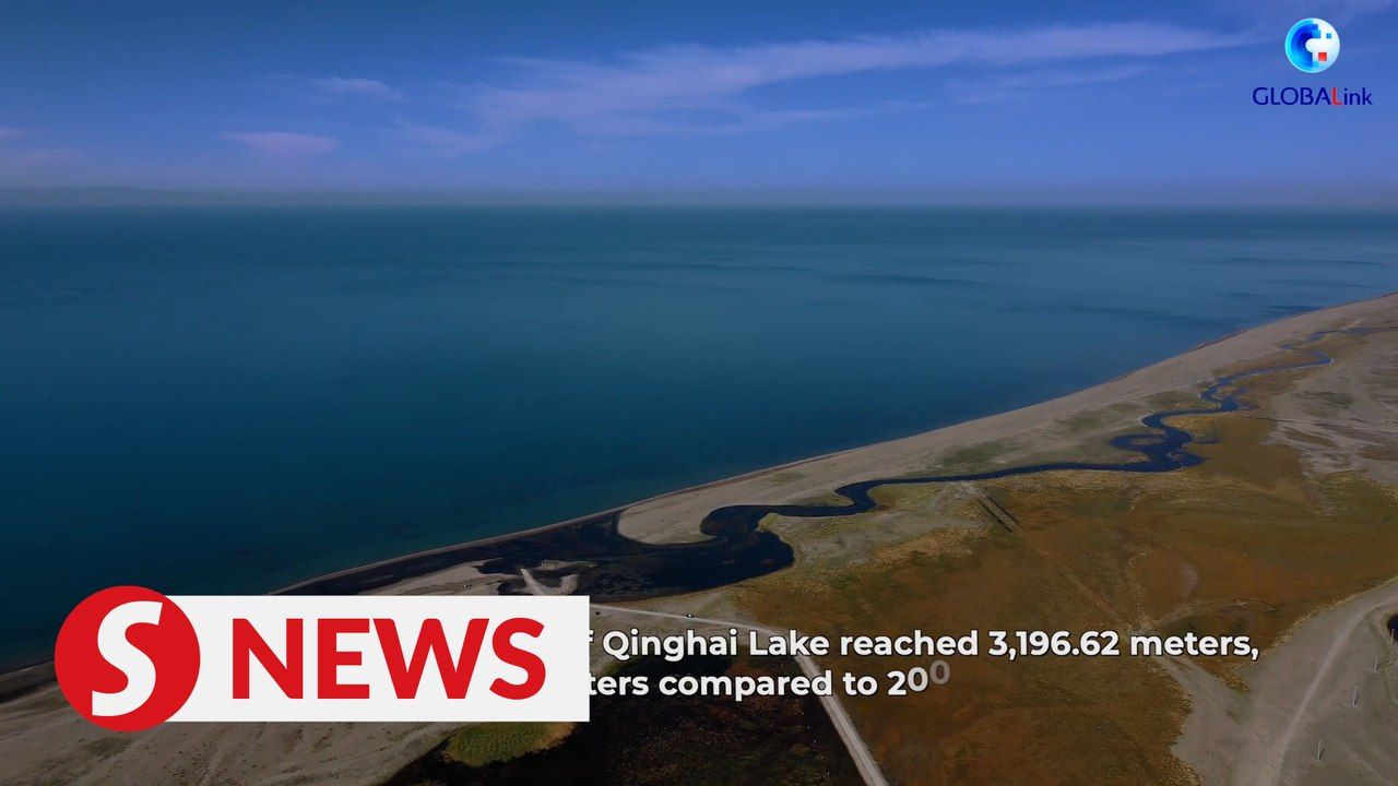 China's largest lake sees rebound of rare fish species | TheStarTV.com