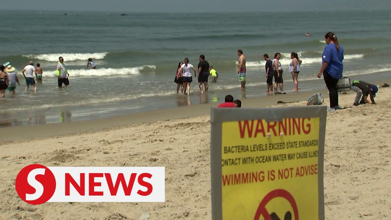 Swimmers flout bacteria warnings at beach in Los Angeles | TheStarTV.com