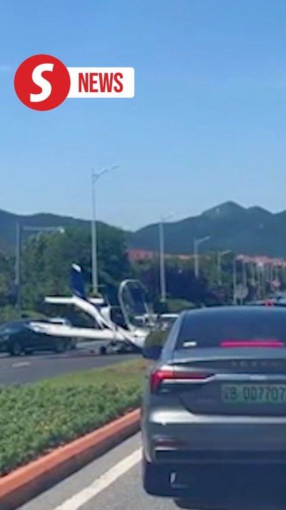 Light aircraft makes crash landing in China, pilot survives | TheStarTV.com