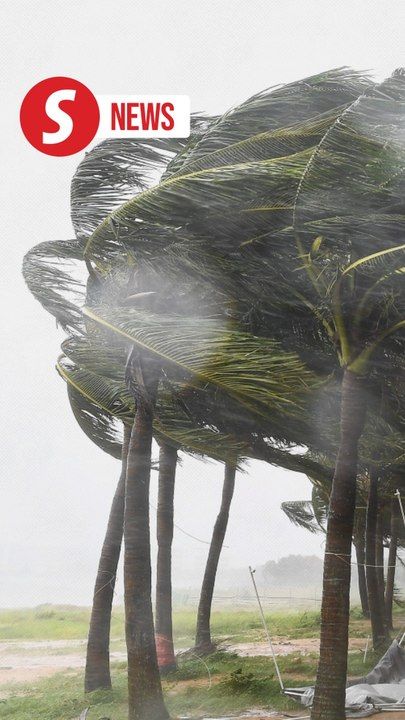 Trees uprooted, streets flooded as Super Typhoon Yagi strikes China's ...