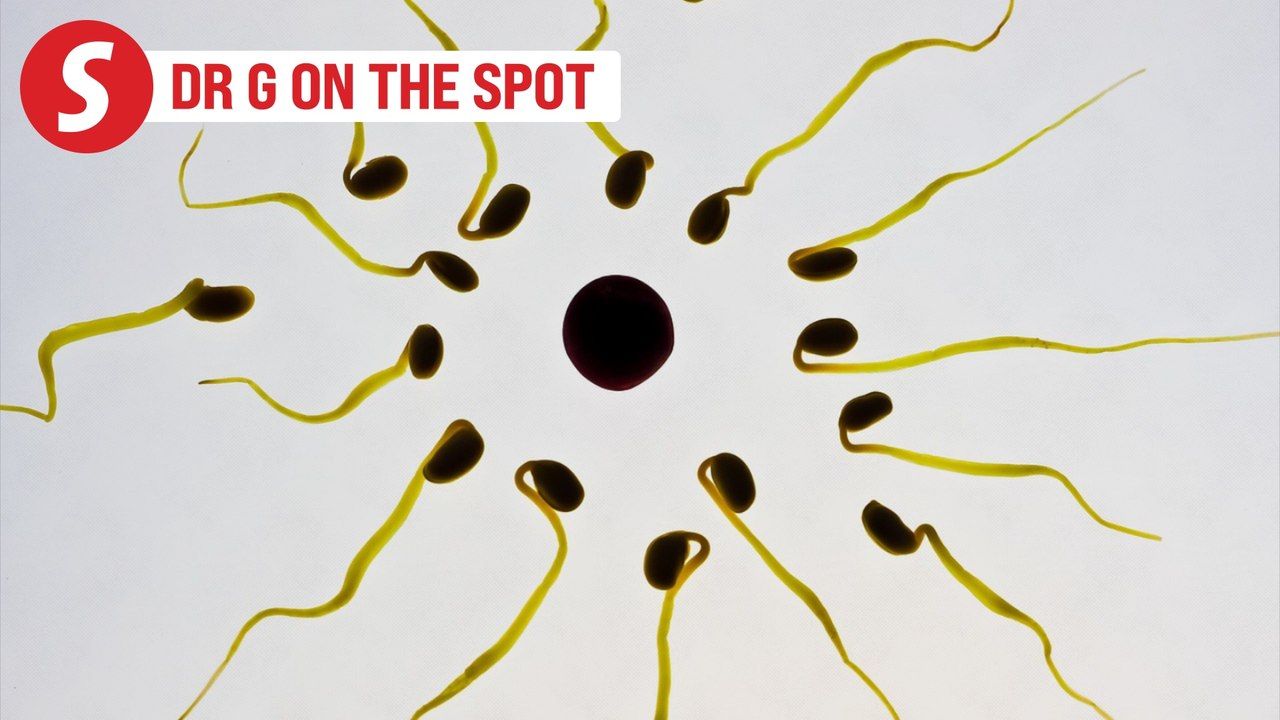 EP238: Natural death of sperms after vasectomy | PUTTING DR G ON THE ...