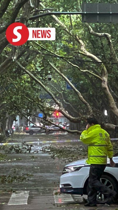 Typhoon Bebinca lands in Shanghai, strongest storm to hit city since ...