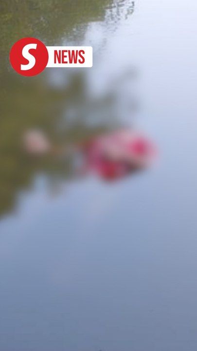 Dead body found floating in Kota Kemuning lake | TheStarTV.com