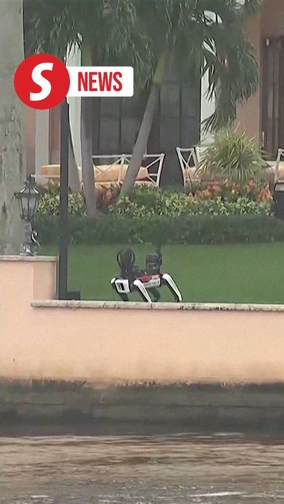 Robotic dog patrols Trump's Mar-a-Lago residence after election victory ...