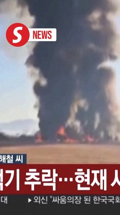 At least 28 dead in fiery aircraft crash in South Korea | TheStarTV.com