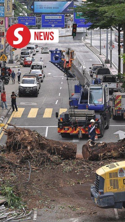 Tree topples onto car in Jalan Pudu, two escape with minor injuries ...