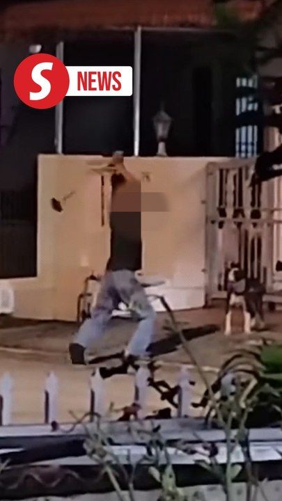 Report lodged over viral video showing man beating dog with hammer ...