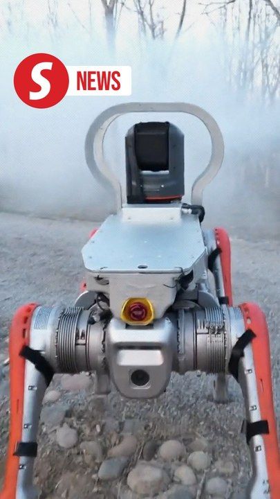 Quadruped robot engages in forest firefighting drill in N China's ...