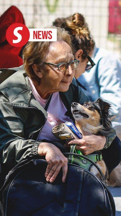 Powerful earthquake of 6.2 magnitude shakes Istanbul | TheStarTV.com